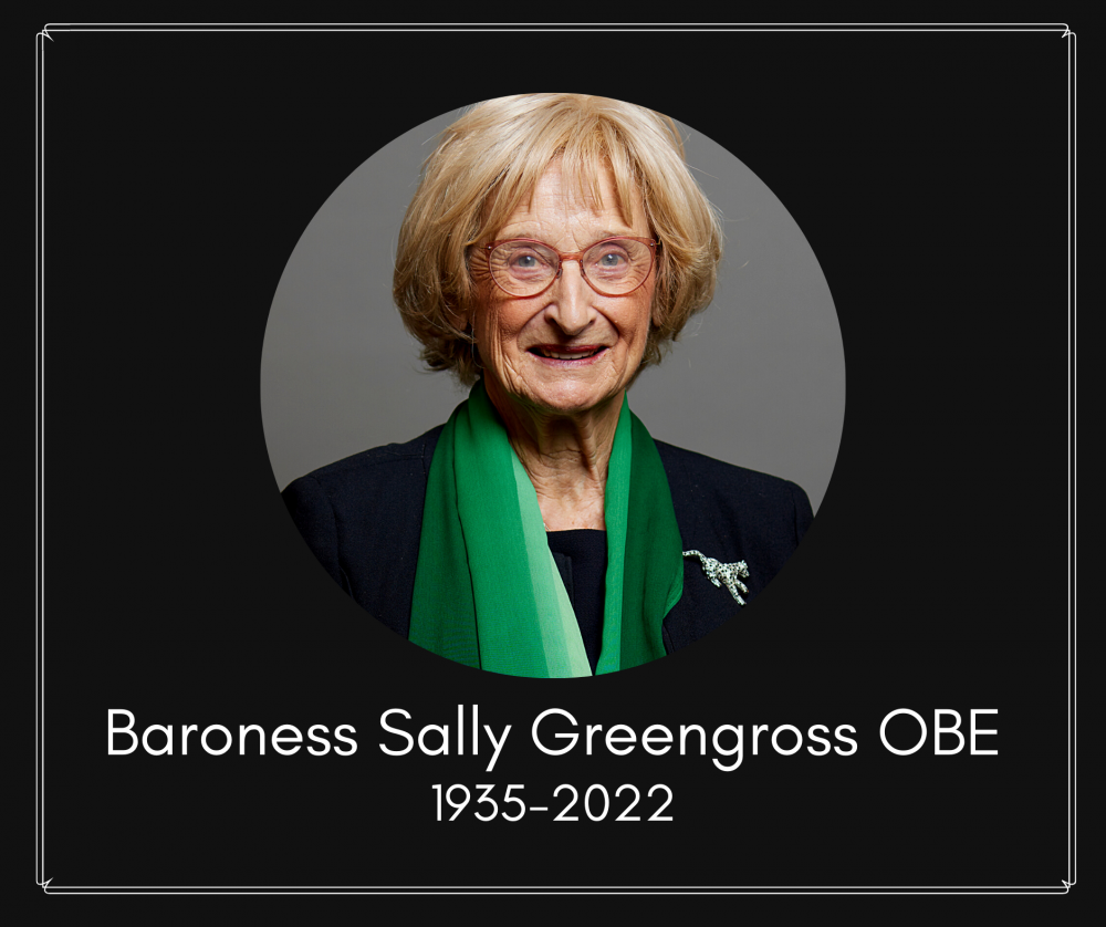 Baroness Sally Greengross: The Hourglass guiding light and champion in ...